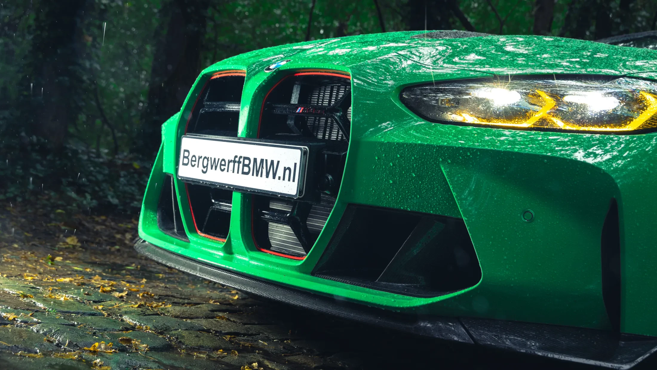 Bergwerff Automotive | BMW M3 CS